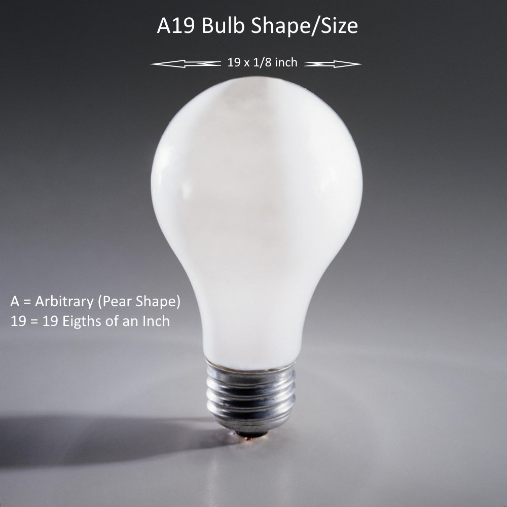 A19 or E26? Crack the Code to Bulb Types and Bases - LampHQ