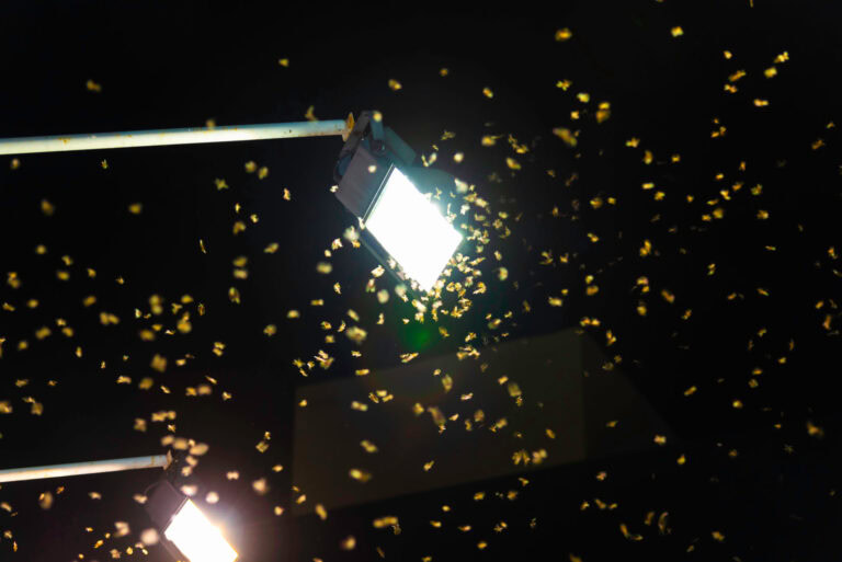 Light Check: Do LEDs Beam Out UV Rays or Radiation? - LampHQ