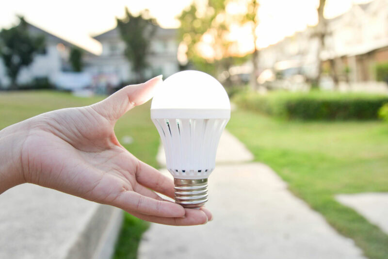 Type B Bulbs Exposed: What’s Behind the Glow? - LampHQ